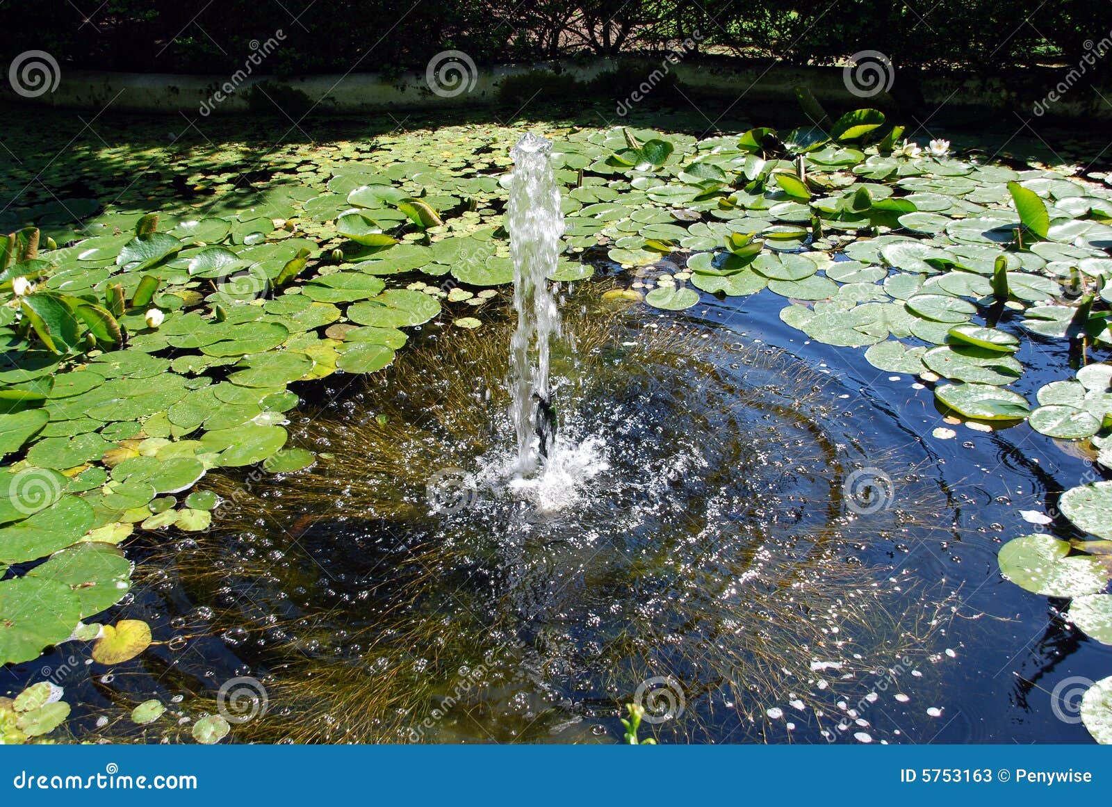 Fountain pond stock image. Image of water, peaceful, decoration - 5753163