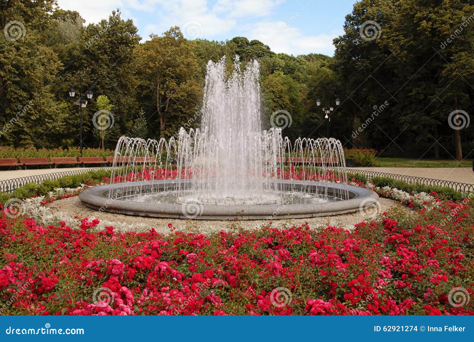 Fountain Red Flowers