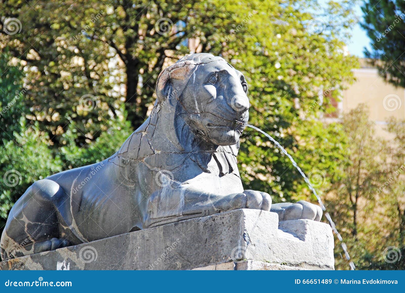Fountain. Sculpture of a Lion, Rome, Italy Stock Image - Image of city ...