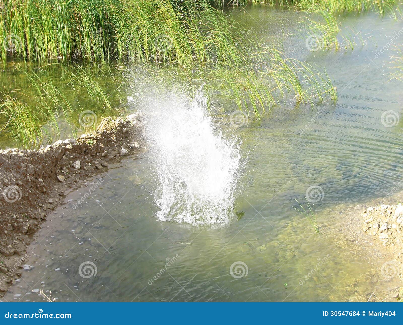Fountain Splashing in the Lake. Stock Photo - Image of stones, june ...