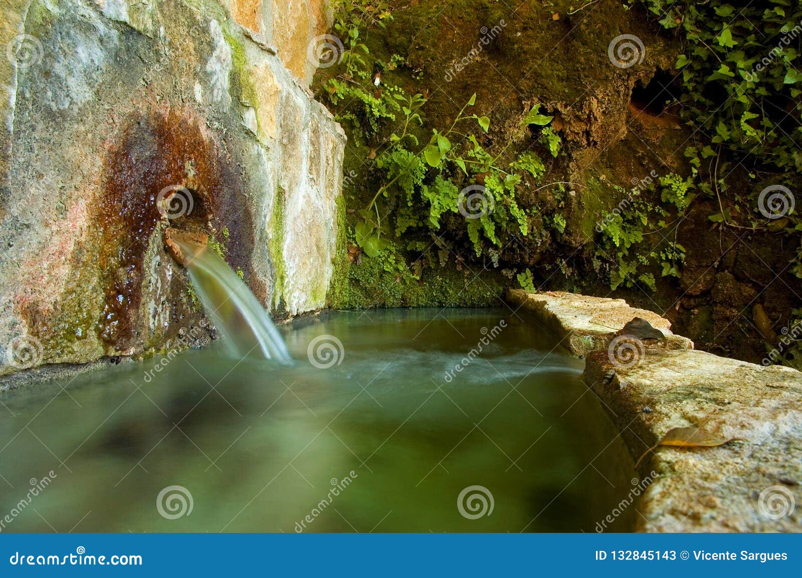 Fountain Spring with Plants in the Mountain Stock Image - Image of ...