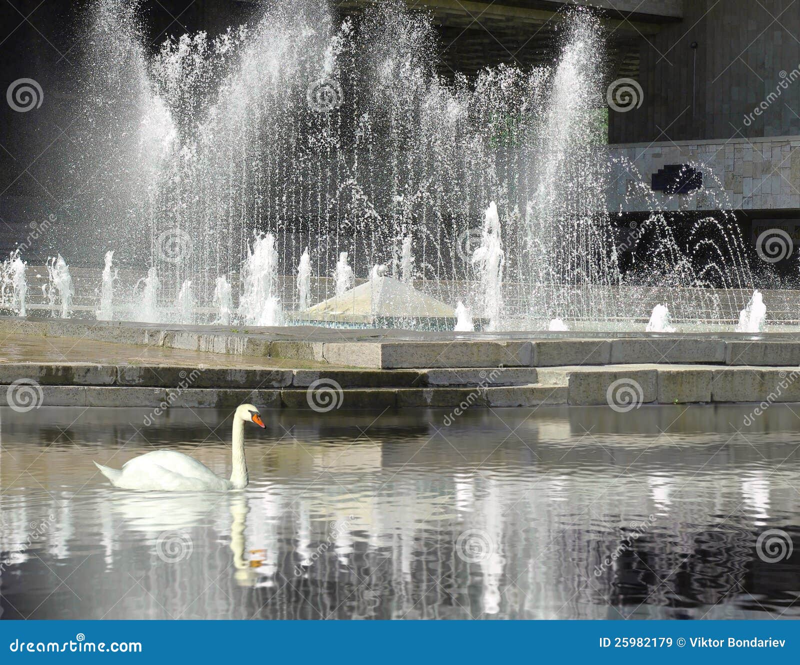 Fountain and swan stock image. Image of graceful, landscape - 25982179