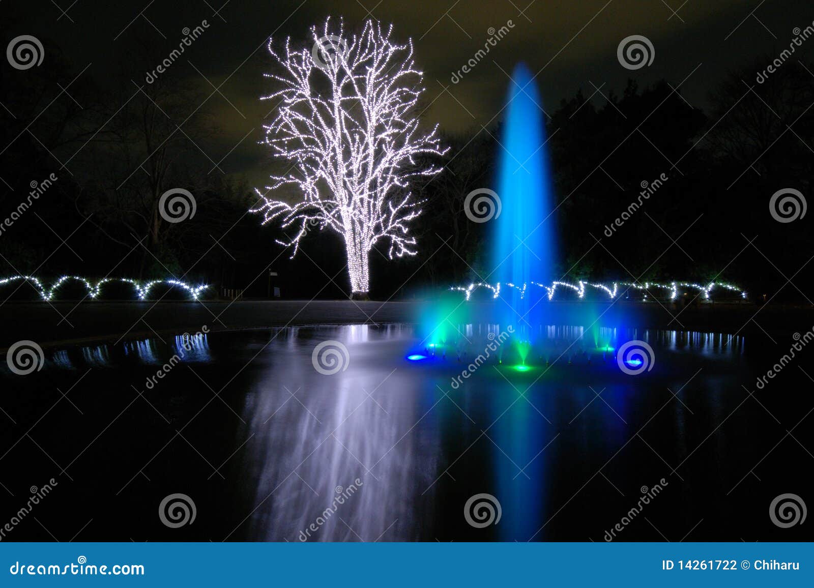 Fountain and Tree are Illuminated Stock Photo - Image of illumination ...