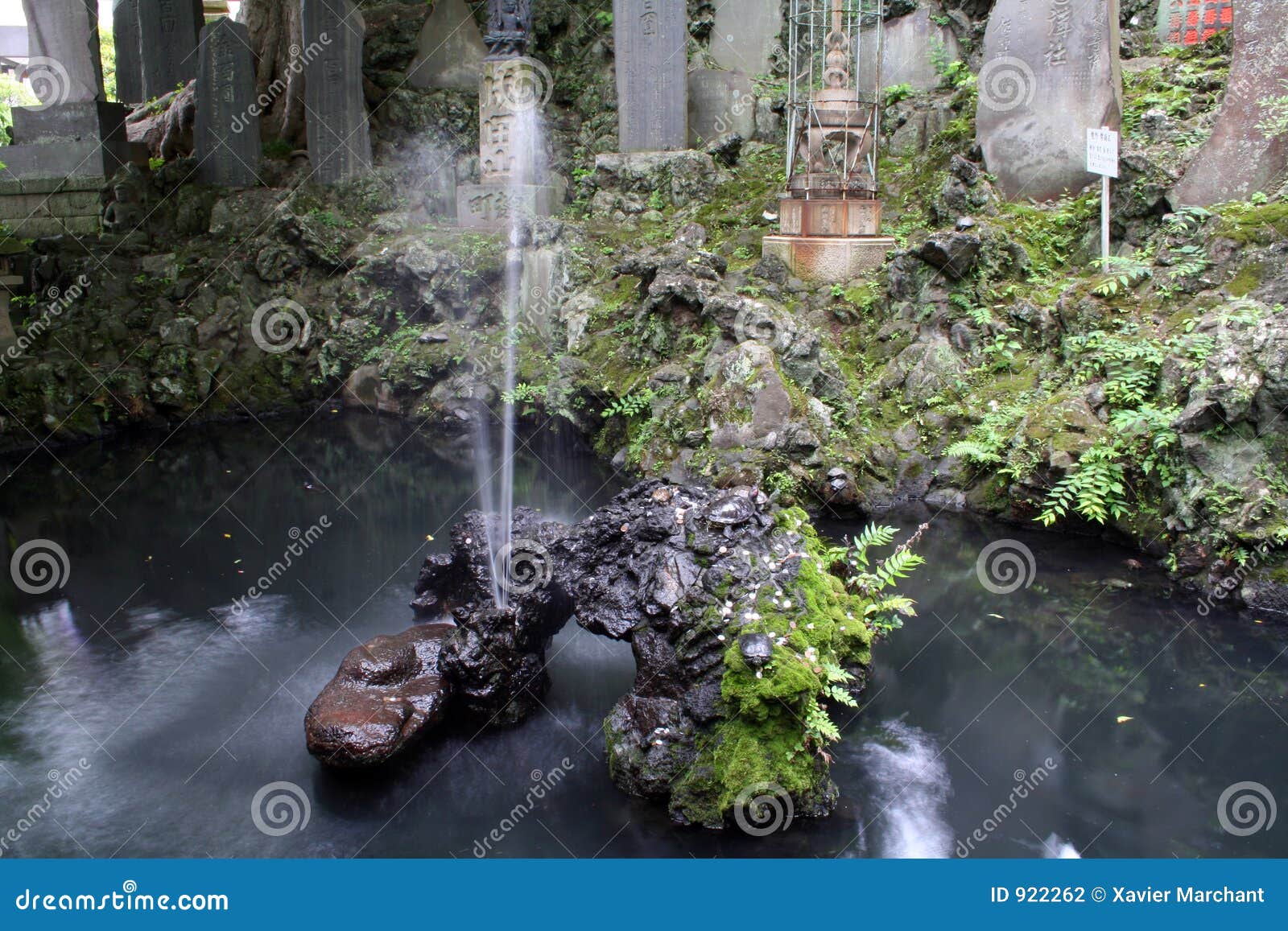 Fountain and turtles stock photo. Image of turtle, turtles - 922262