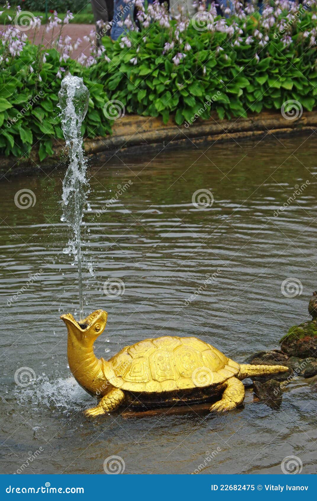 Fountain the Turtles in Petrodvorets Stock Image - Image of petersburg ...
