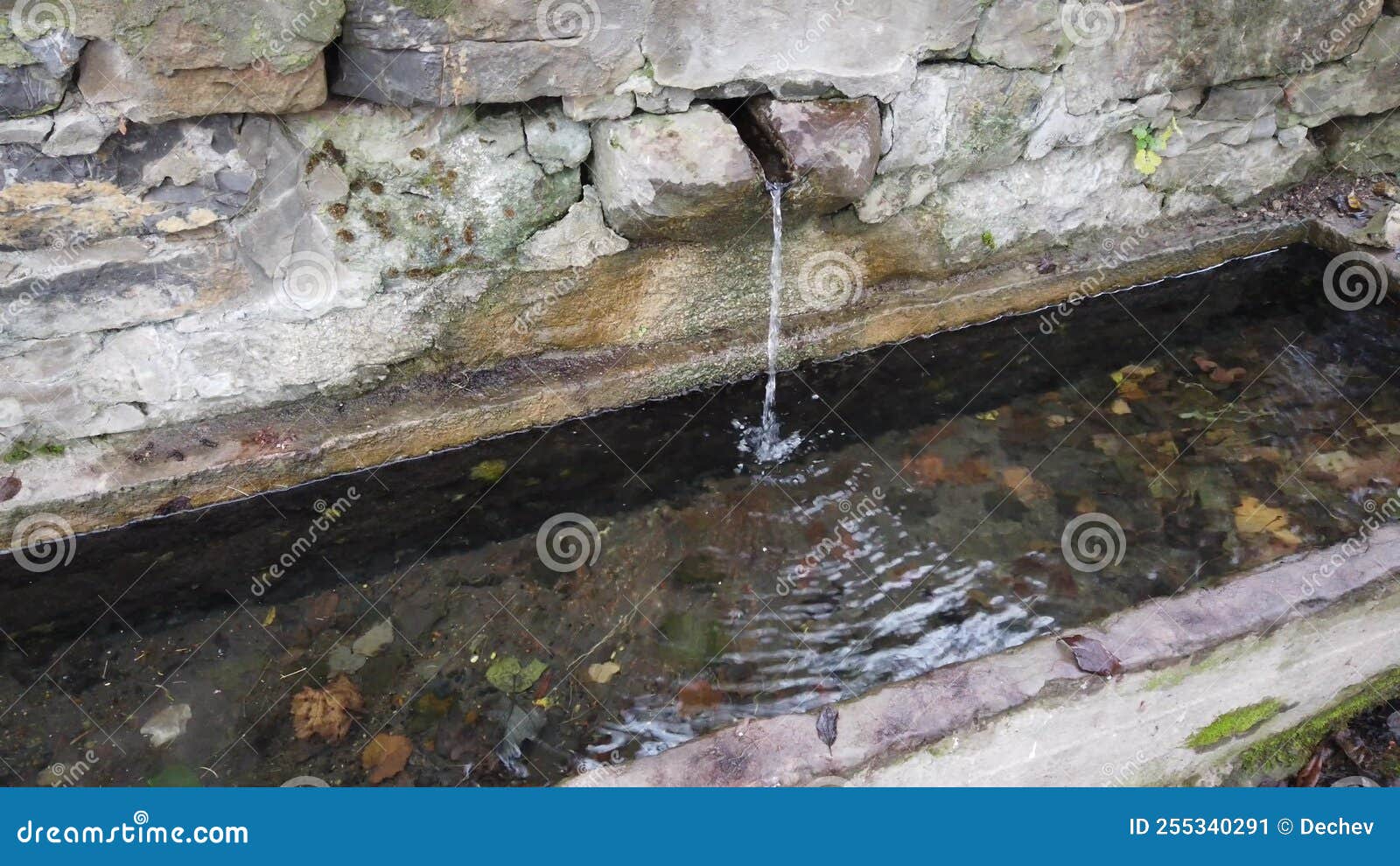 Fountain Water Source Spring in the Forest. Natural Spring Water ...