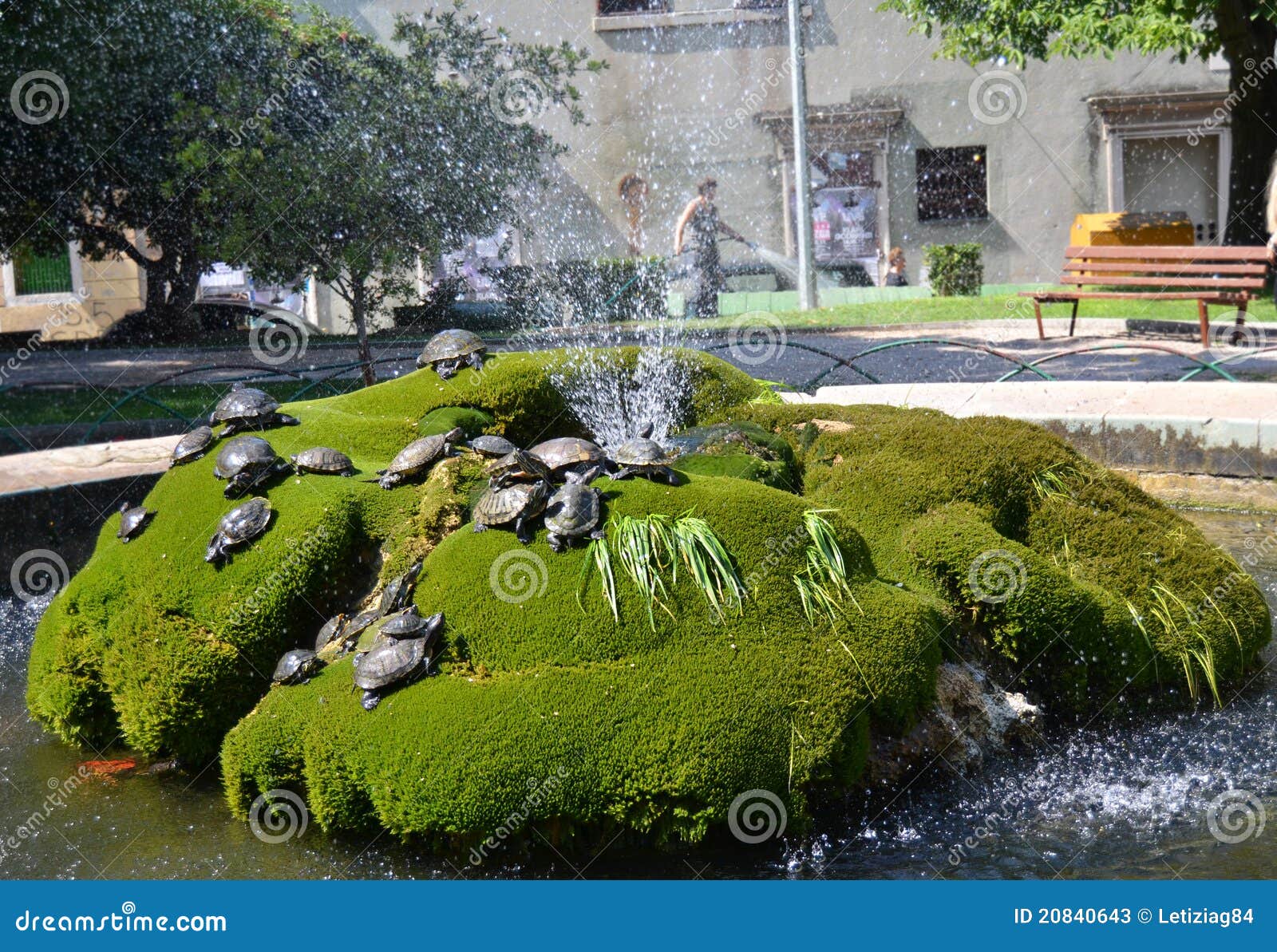 Fountain with Water Turtles Stock Image - Image of place, nature: 20840643