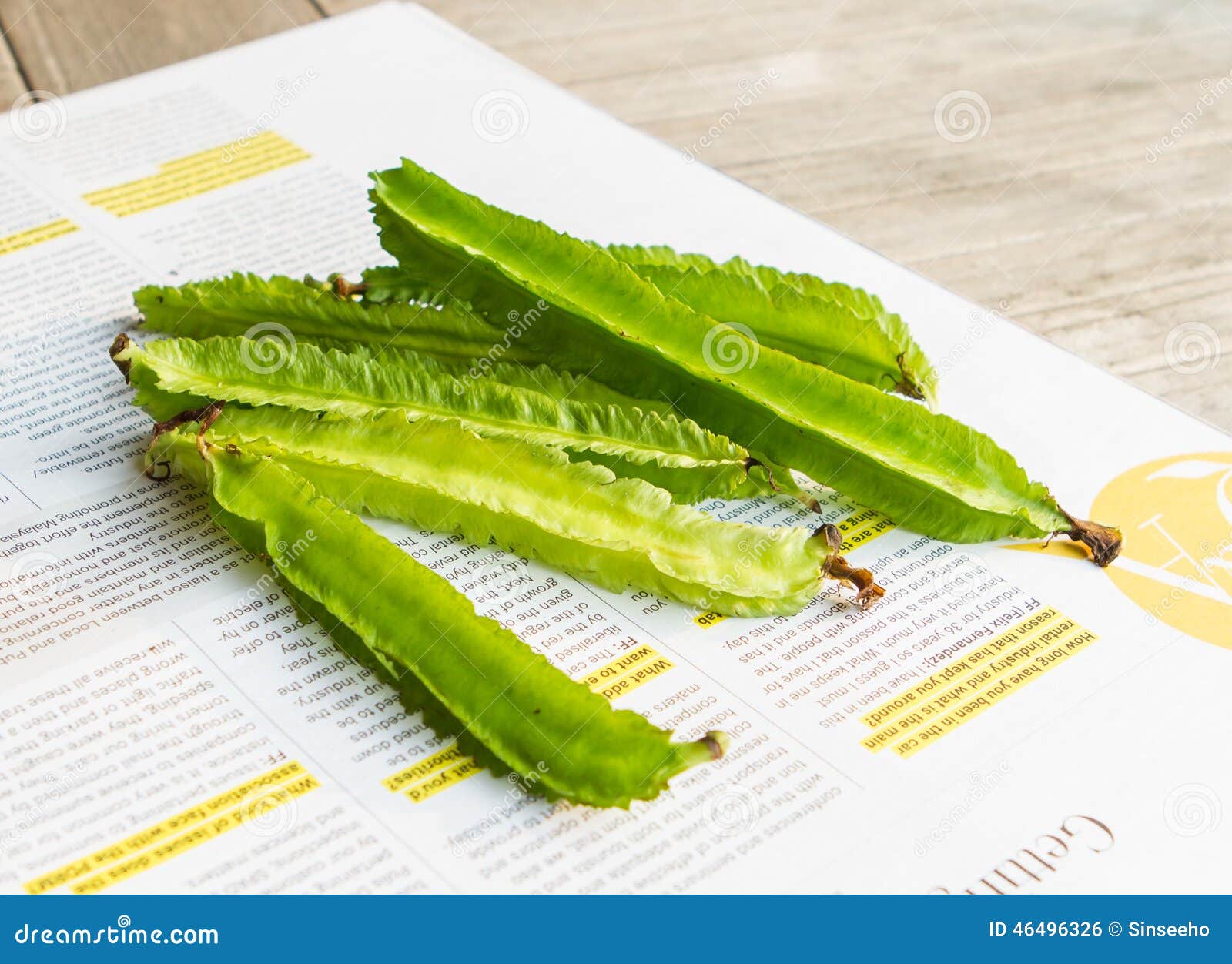 Four angle beans stock photo. Image of white, plant, food - 46496326