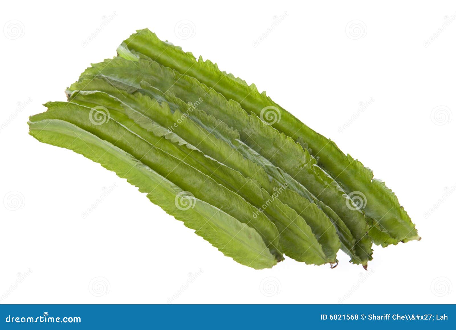 Four Angled Beans stock photo. Image of four, veggies - 6021568