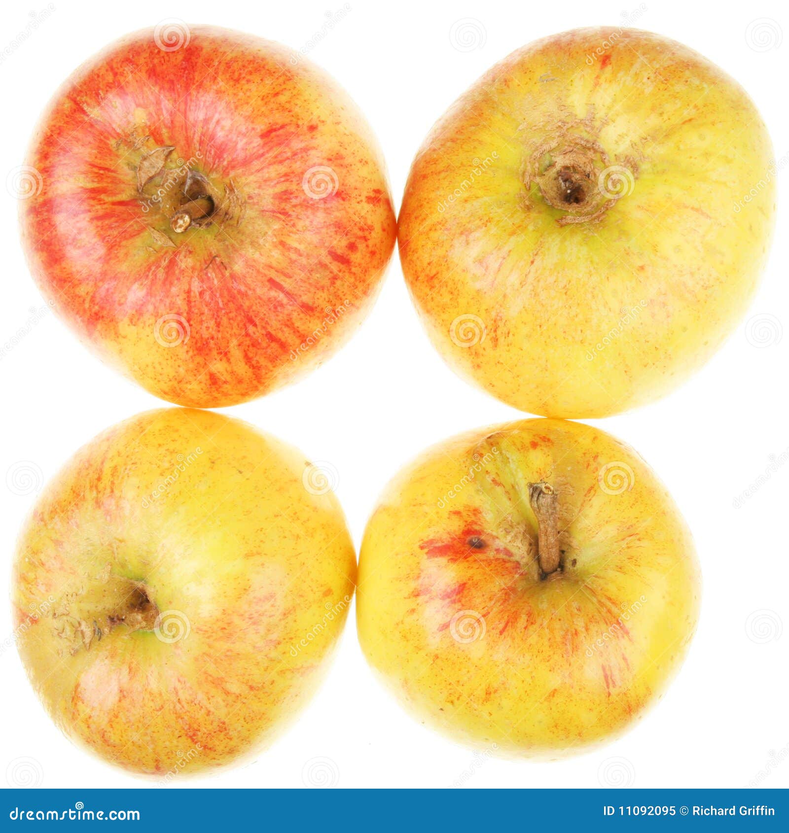 Four apples stock image. Image of blemish, four, apple - 11092095