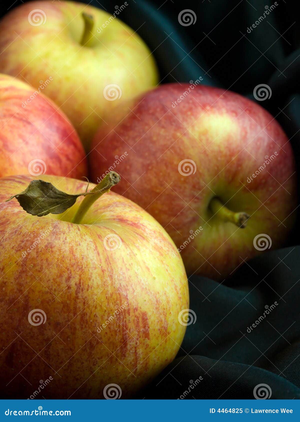 Four Apples stock image. Image of dried, life, apples - 4464825