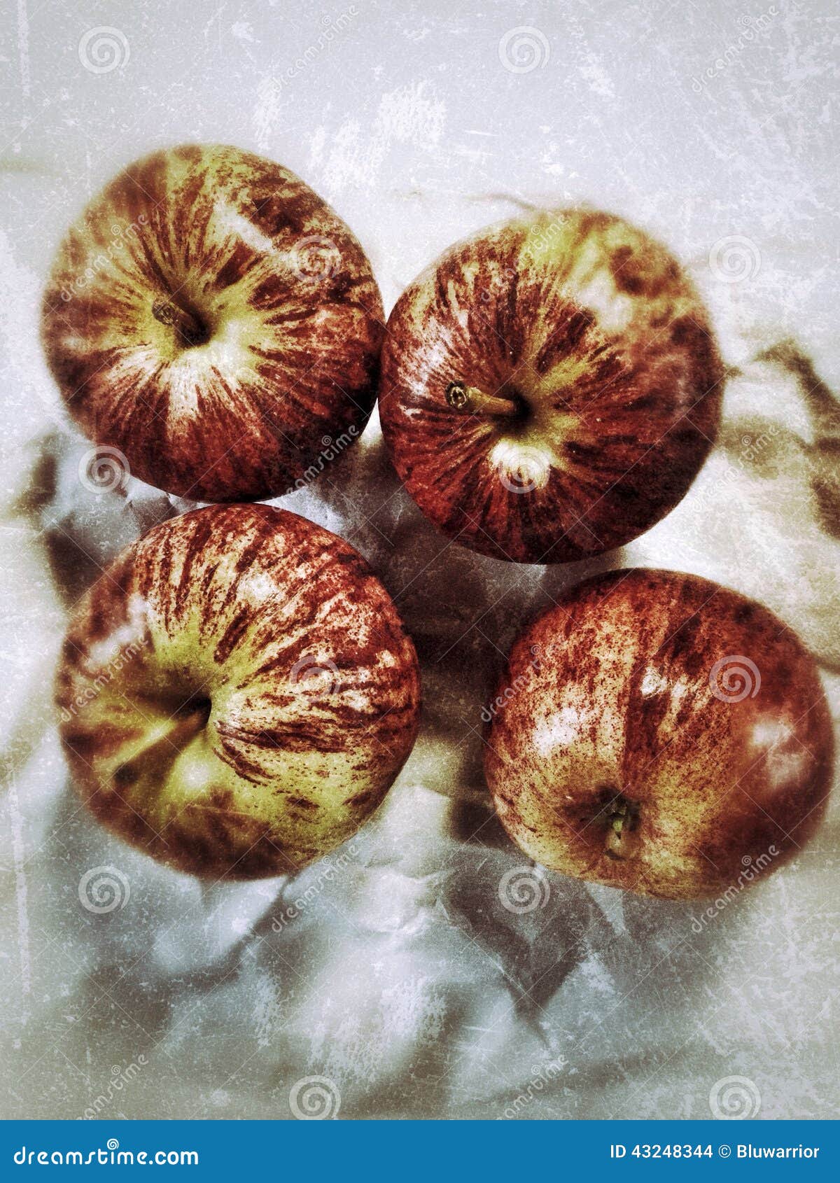 Four apples stock photo. Image of soft, isolated, healthy - 43248344