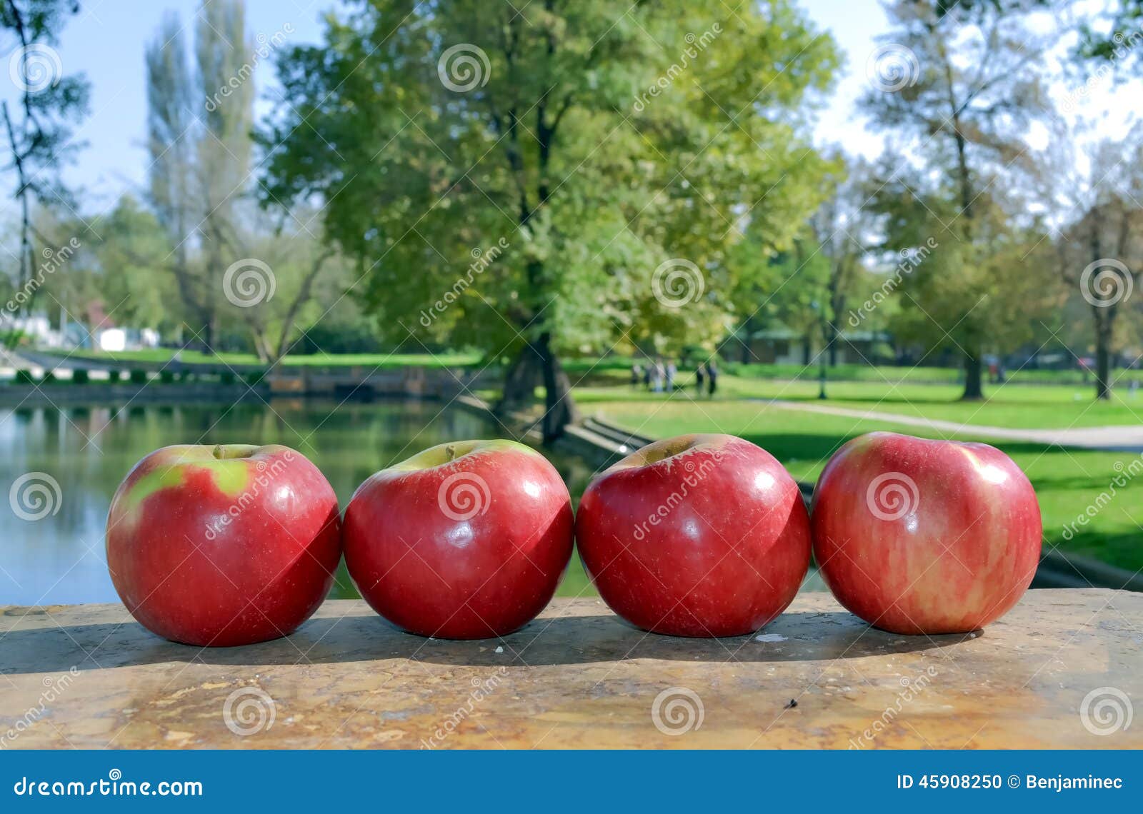Four Apples On A Plate Stock Image | CartoonDealer.com #34253245