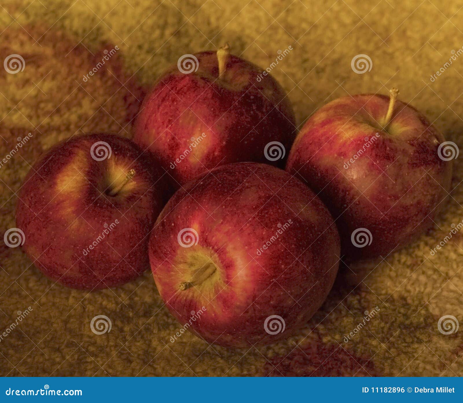 Four apples still-life stock photo. Image of still, fall - 11182896