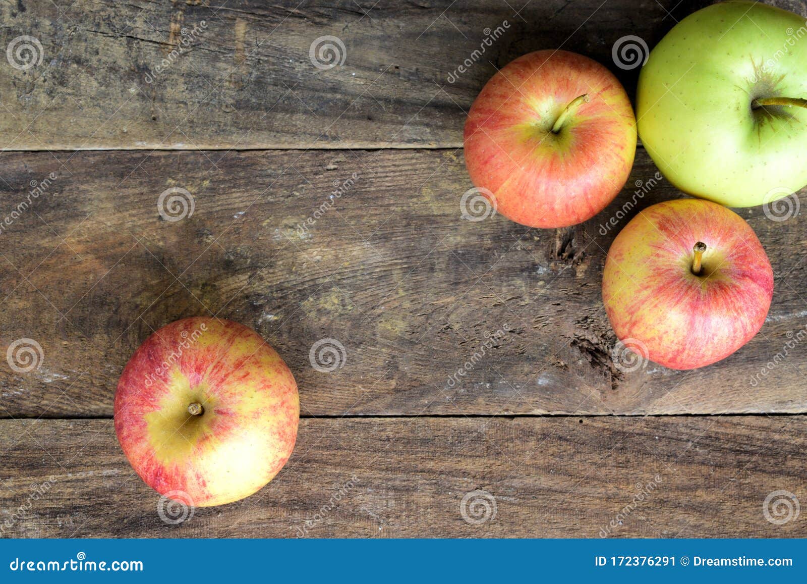Four Apples on a Table stock image. Image of green, harvest - 172376291