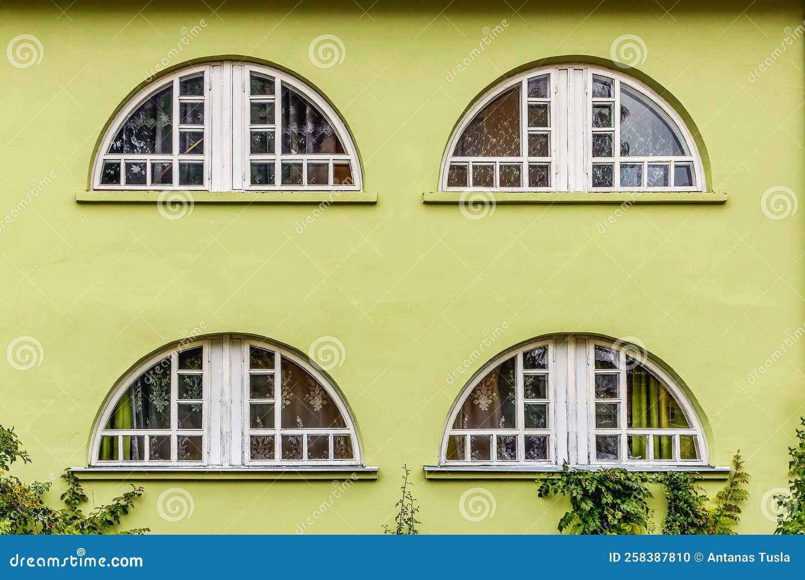 Four Arched Windows in a Salad Colored Wall Stock Photo - Image of ...