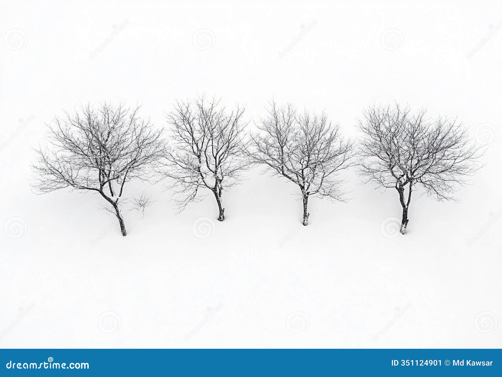 Four Bare Trees in Snowy Landscape Winter Scene High Quality Image ...