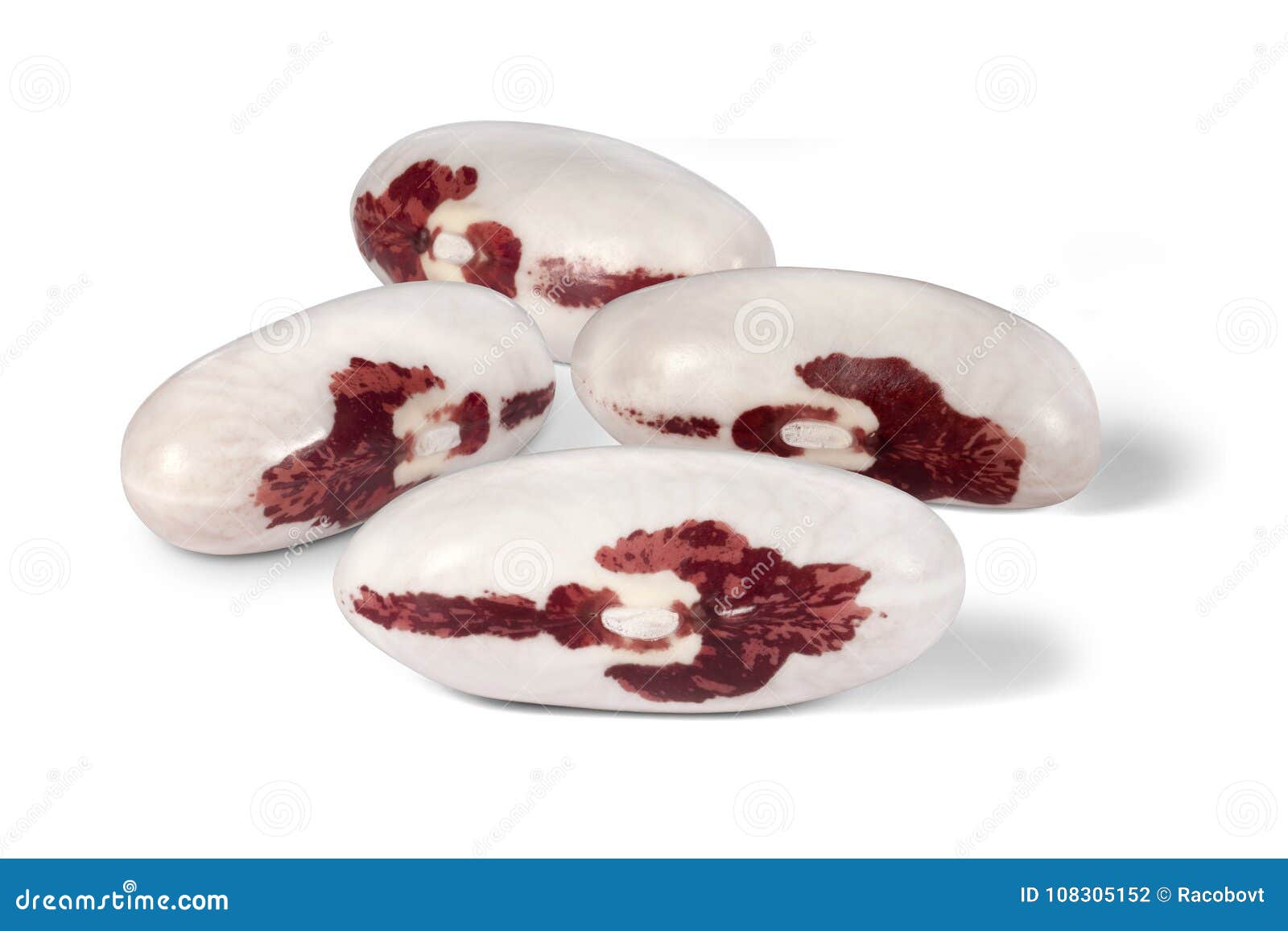 Four bean of colored bean stock photo. Image of grain - 108305152