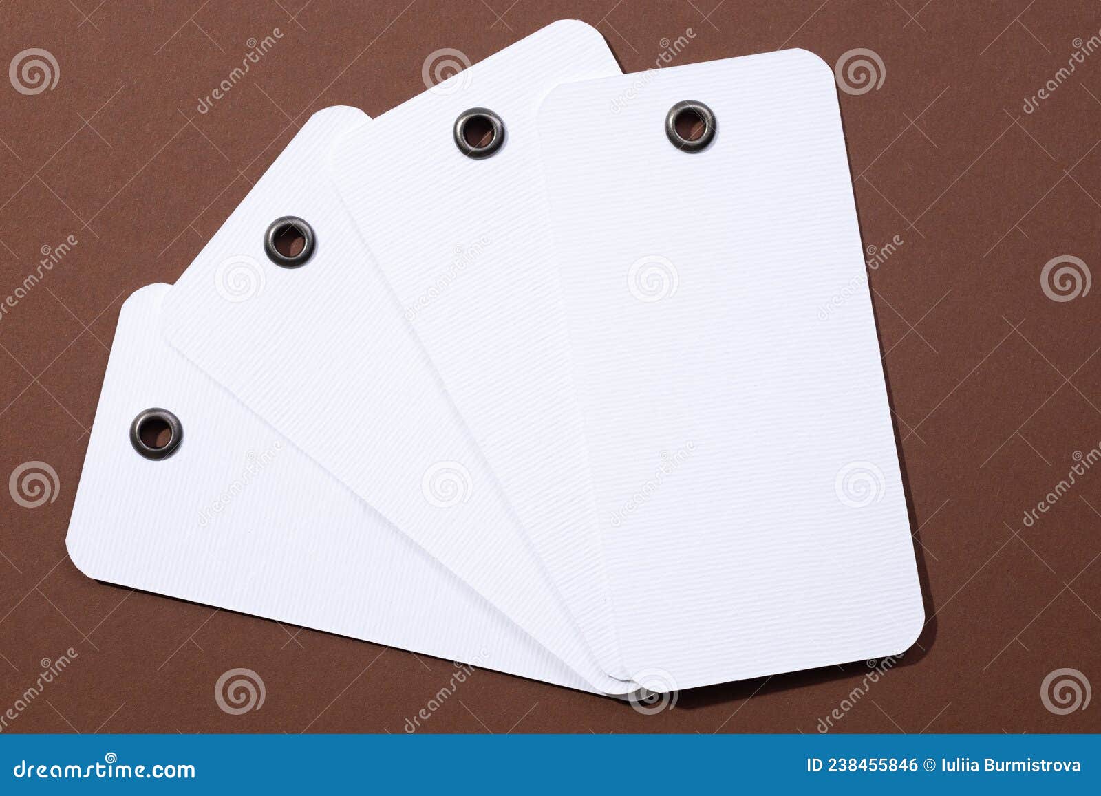 Four Blank Tags Made of White Cardboard of Rectangle Shape with Tiny ...