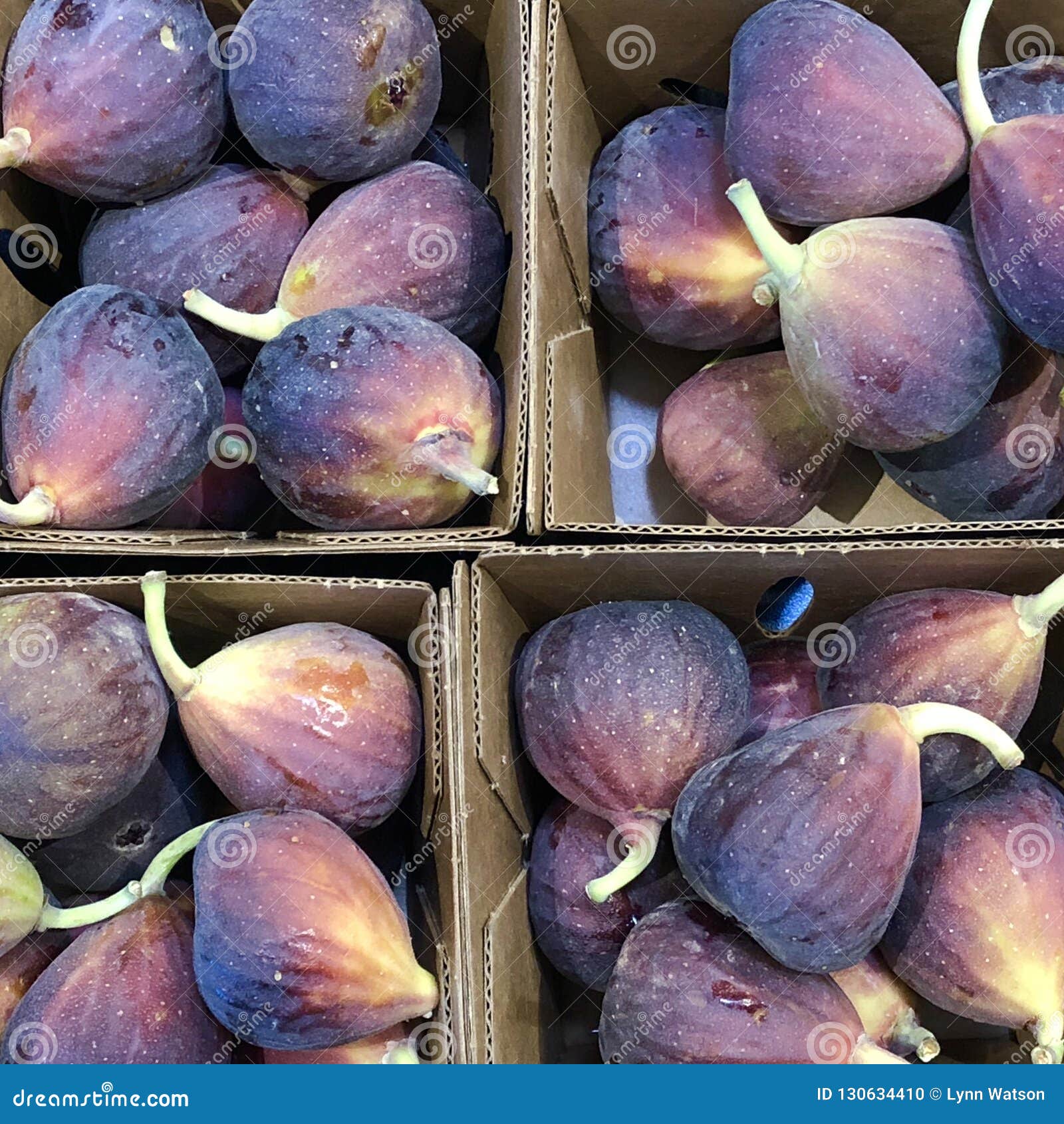 Four boxes of fresh figs stock photo. Image of figs - 130634410
