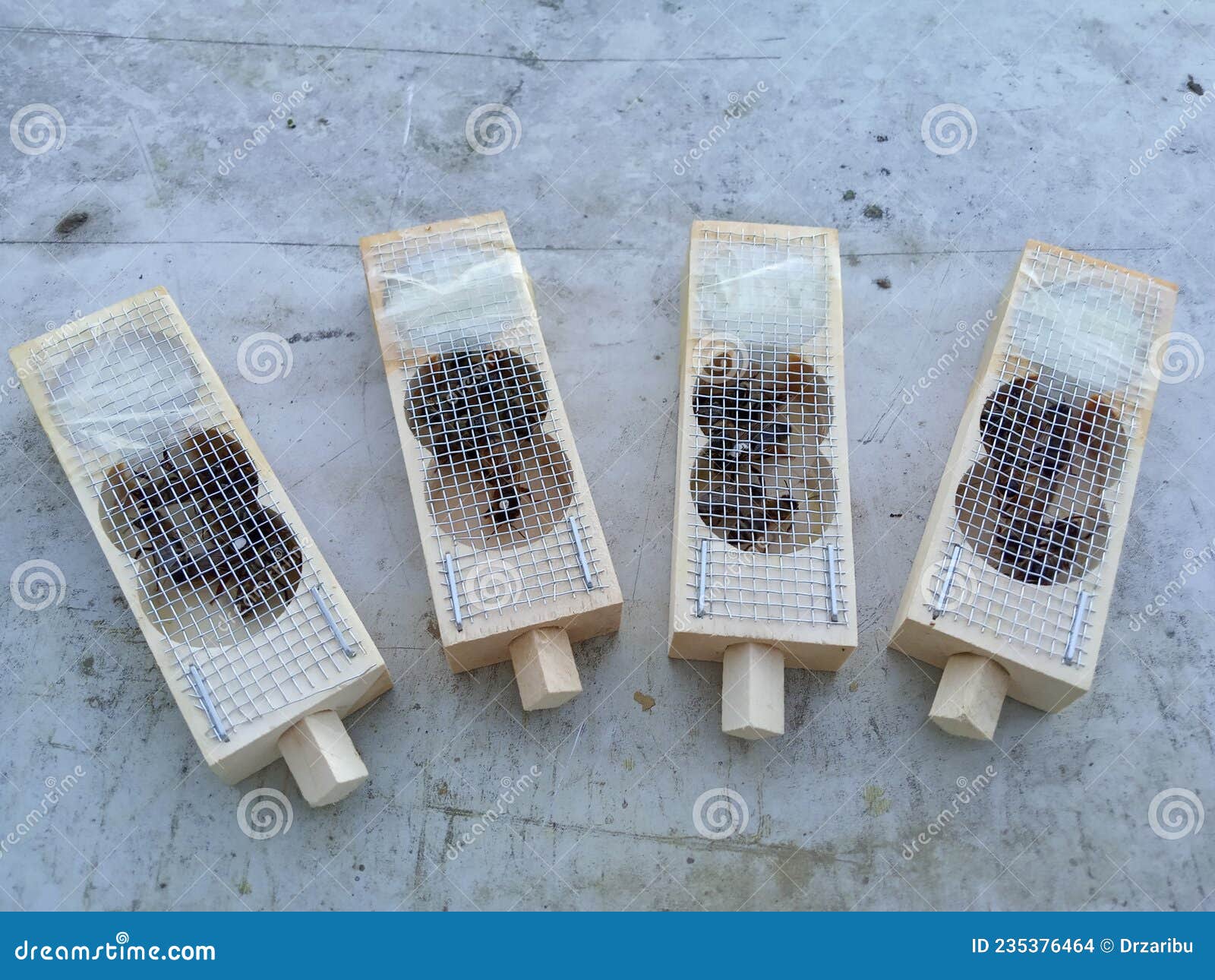Four Boxes for Transporting Queen Bees Stock Photo - Image of drawing ...