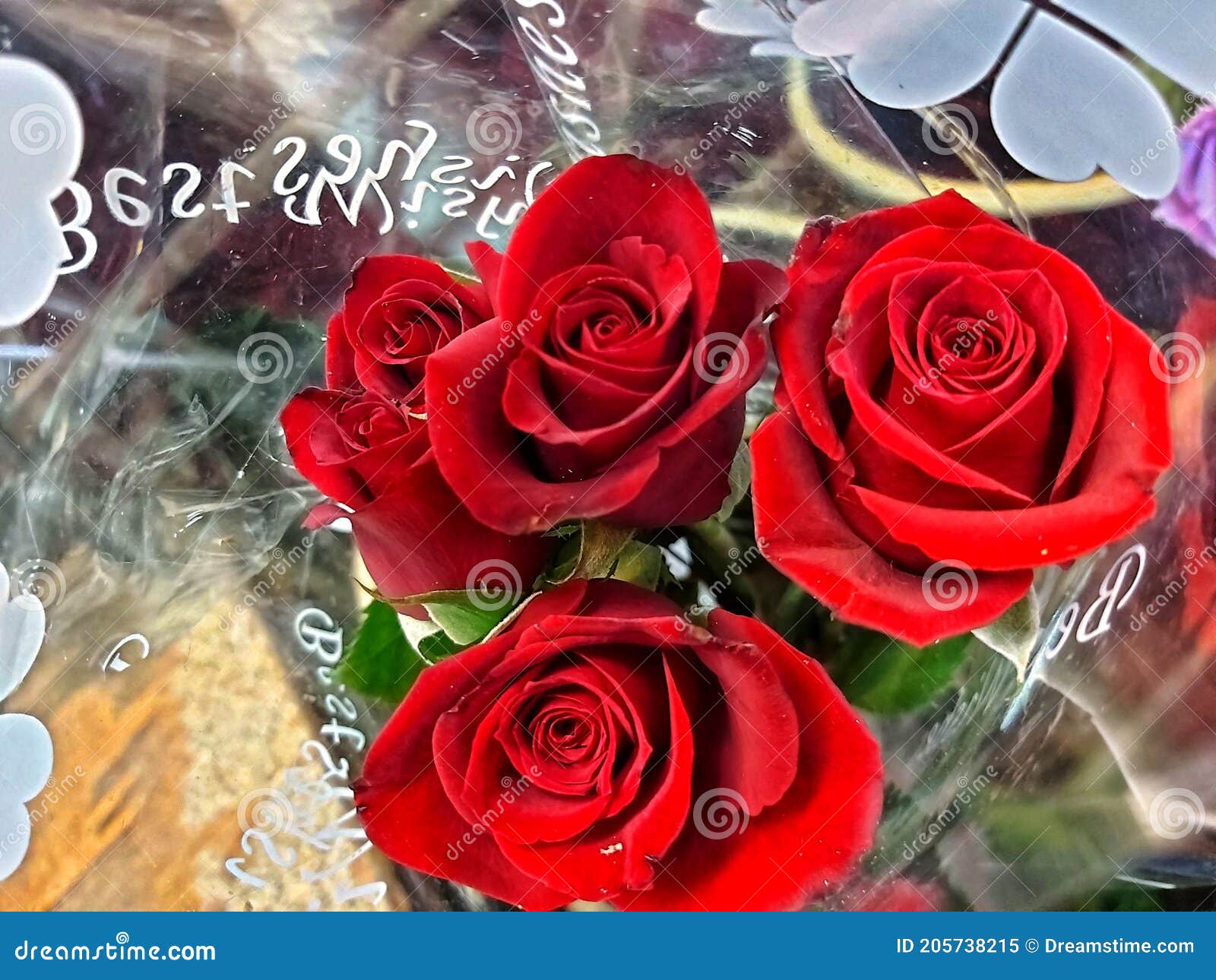 Four Bright Red Roses in the Plastic Stock Image - Image of roses, four ...