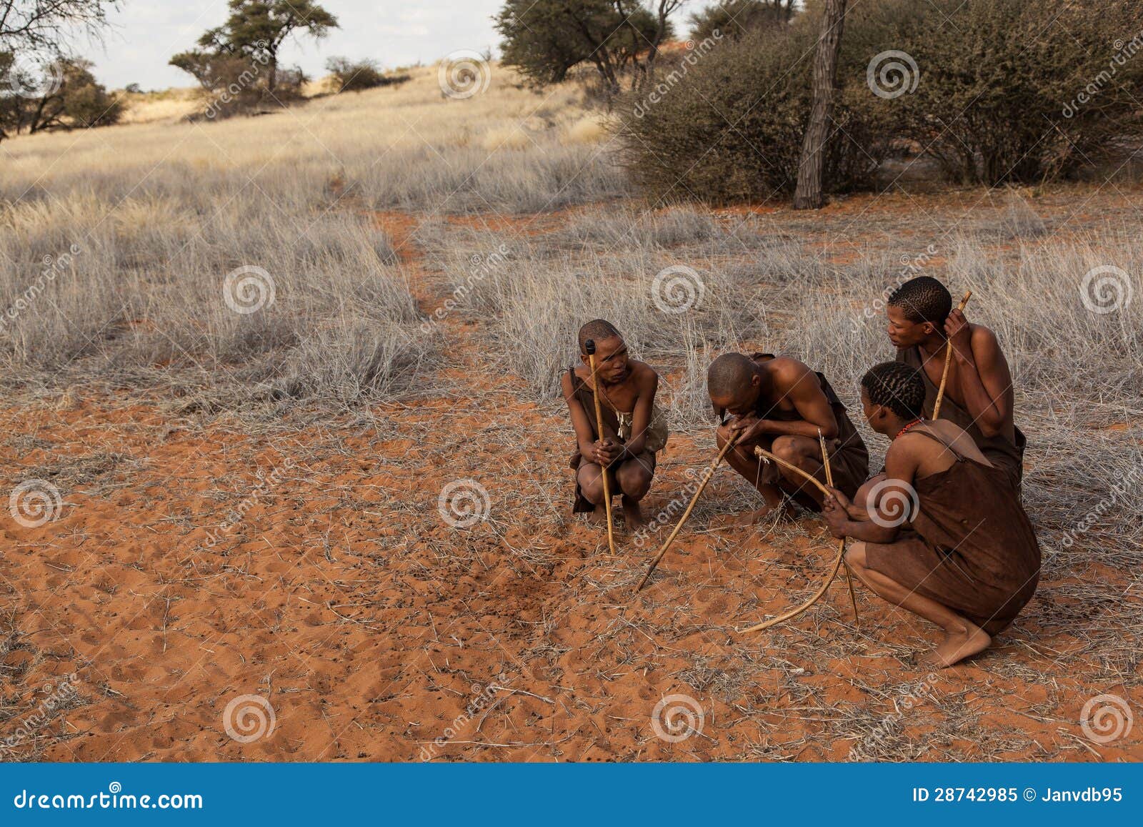 Four bushmen editorial image. Image of landscapes, arid - 28742985