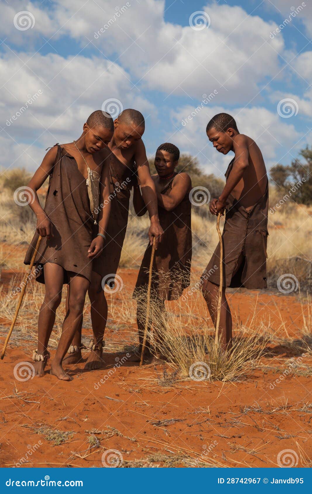 Four bushmen dancing editorial photography. Image of descent - 28742967