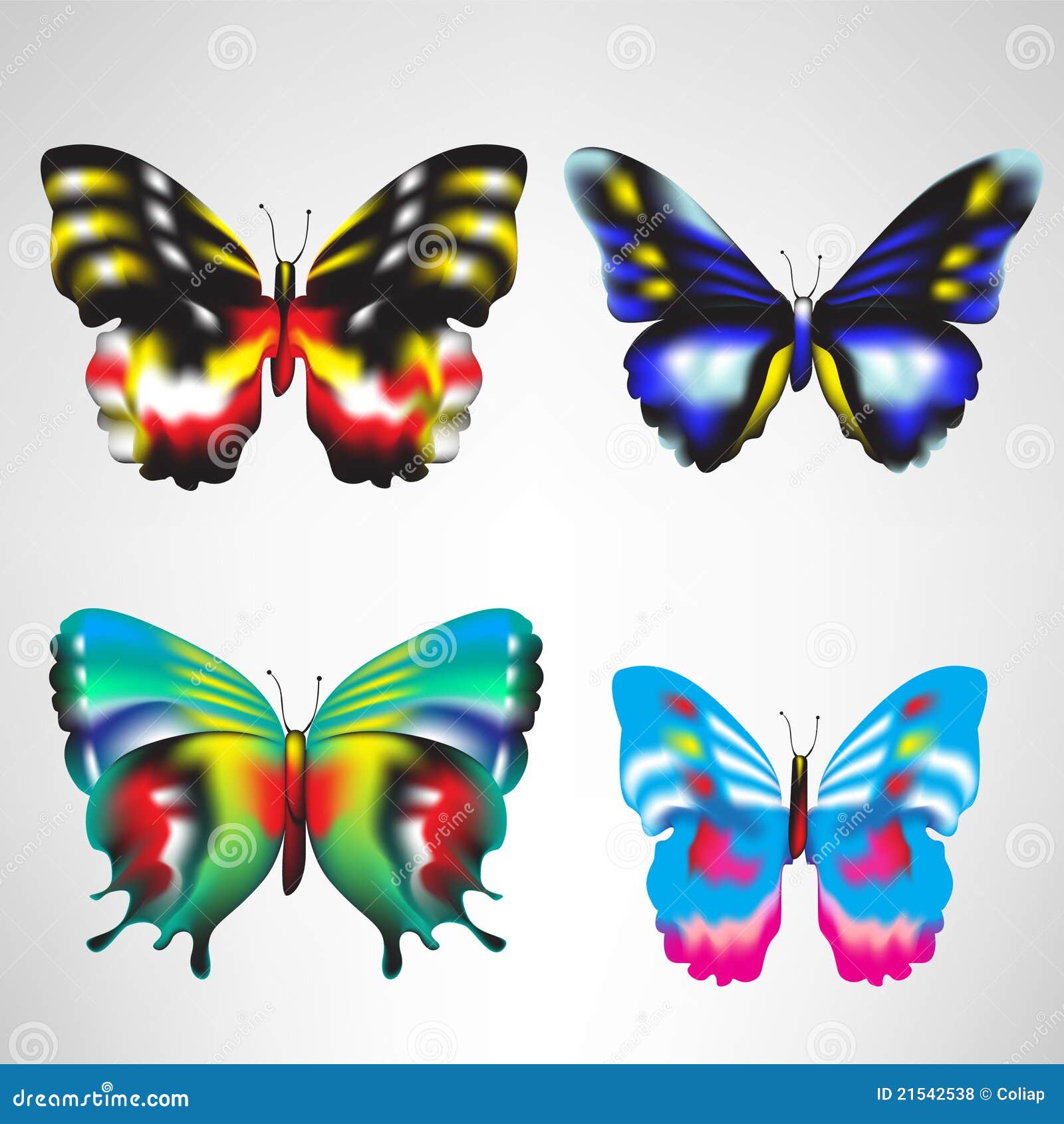 Four butterflies stock vector. Illustration of beauty - 21542538