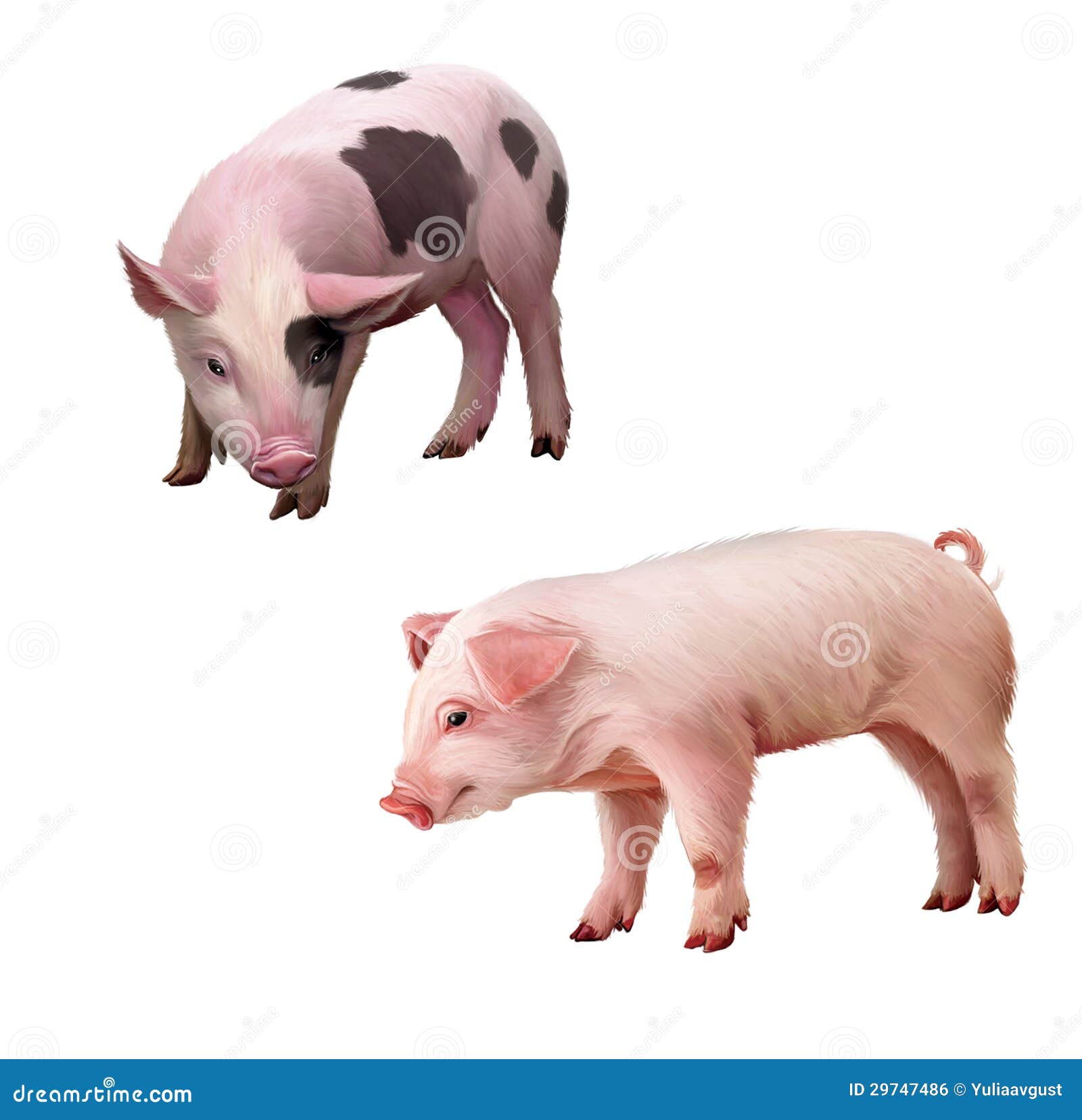 Two Little Piglets Pink and Spotted. Isolated Illu Stock Illustration ...