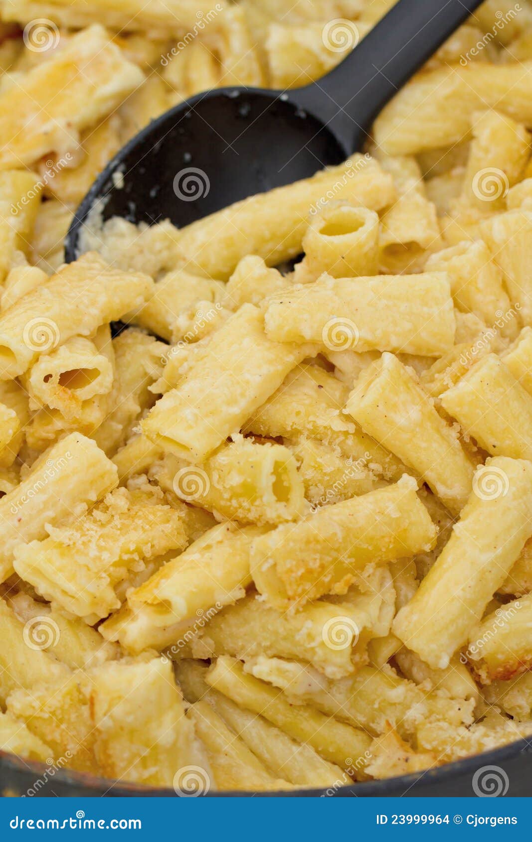 Four cheese rigatoni bake stock photo. Image of fresh - 23999964