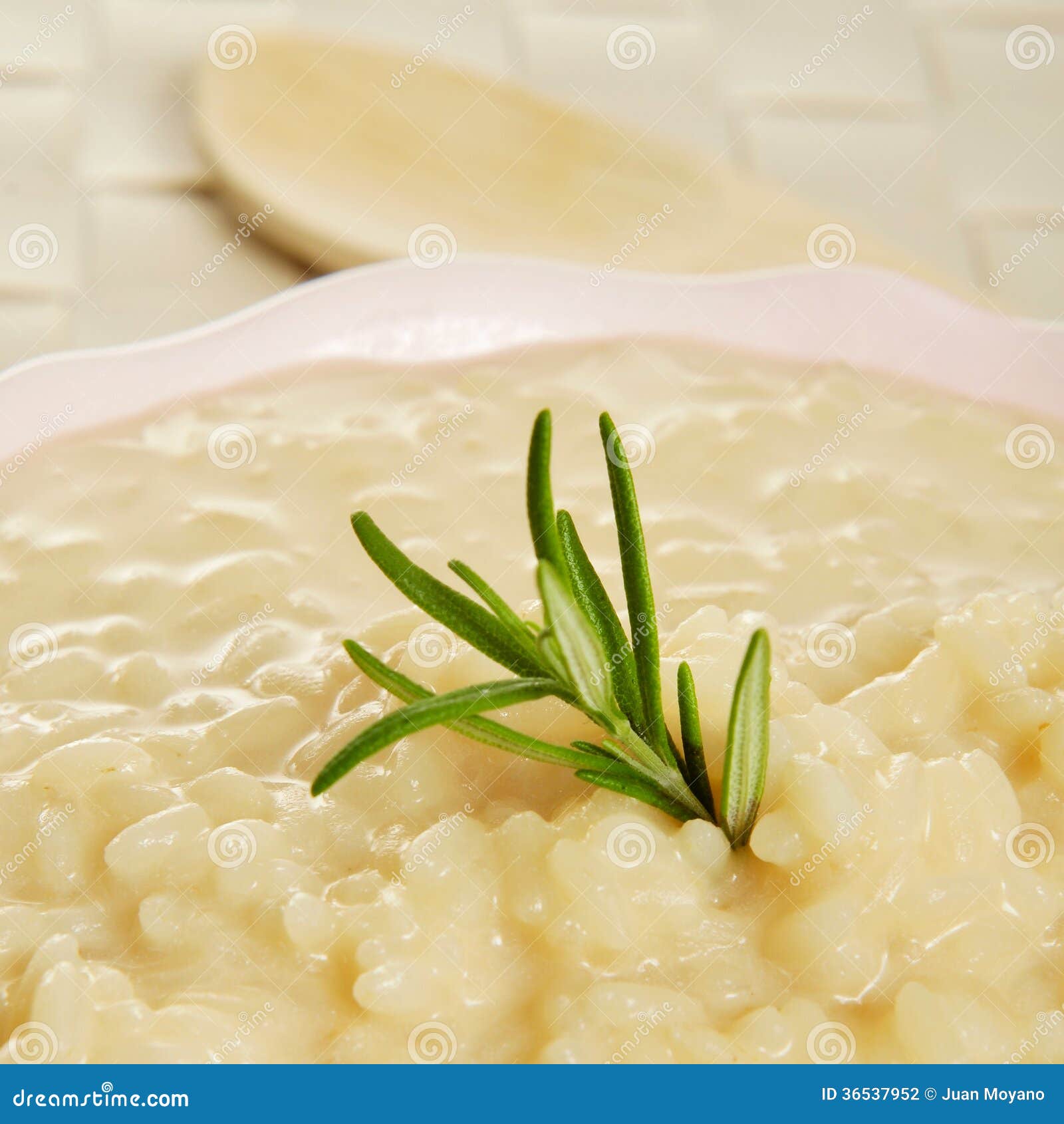 Four cheese risotto stock photo. Image of cooking, plate - 36537952