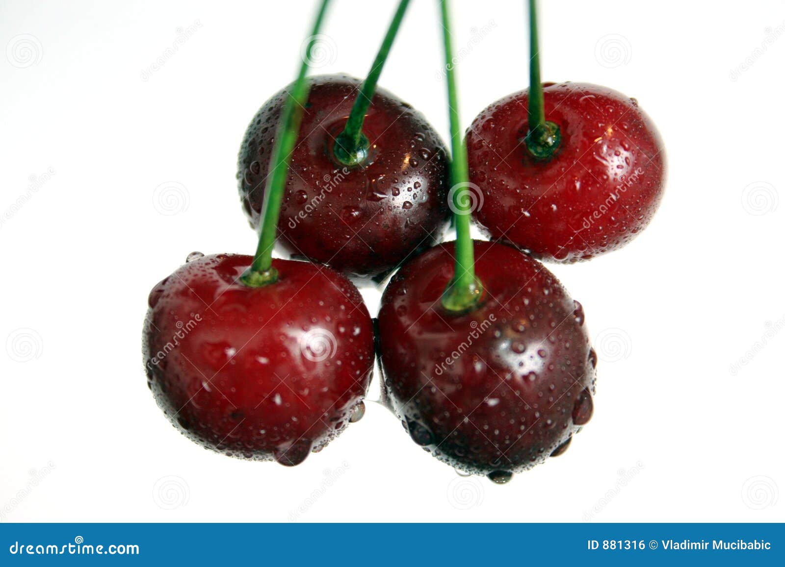 Four Cherries Picture. Image: 881316