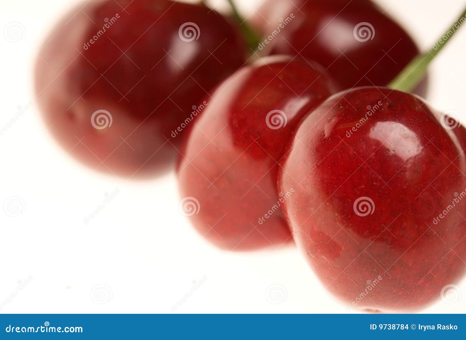 Four cherries close-up stock photo. Image of fruit, ripe - 9738784
