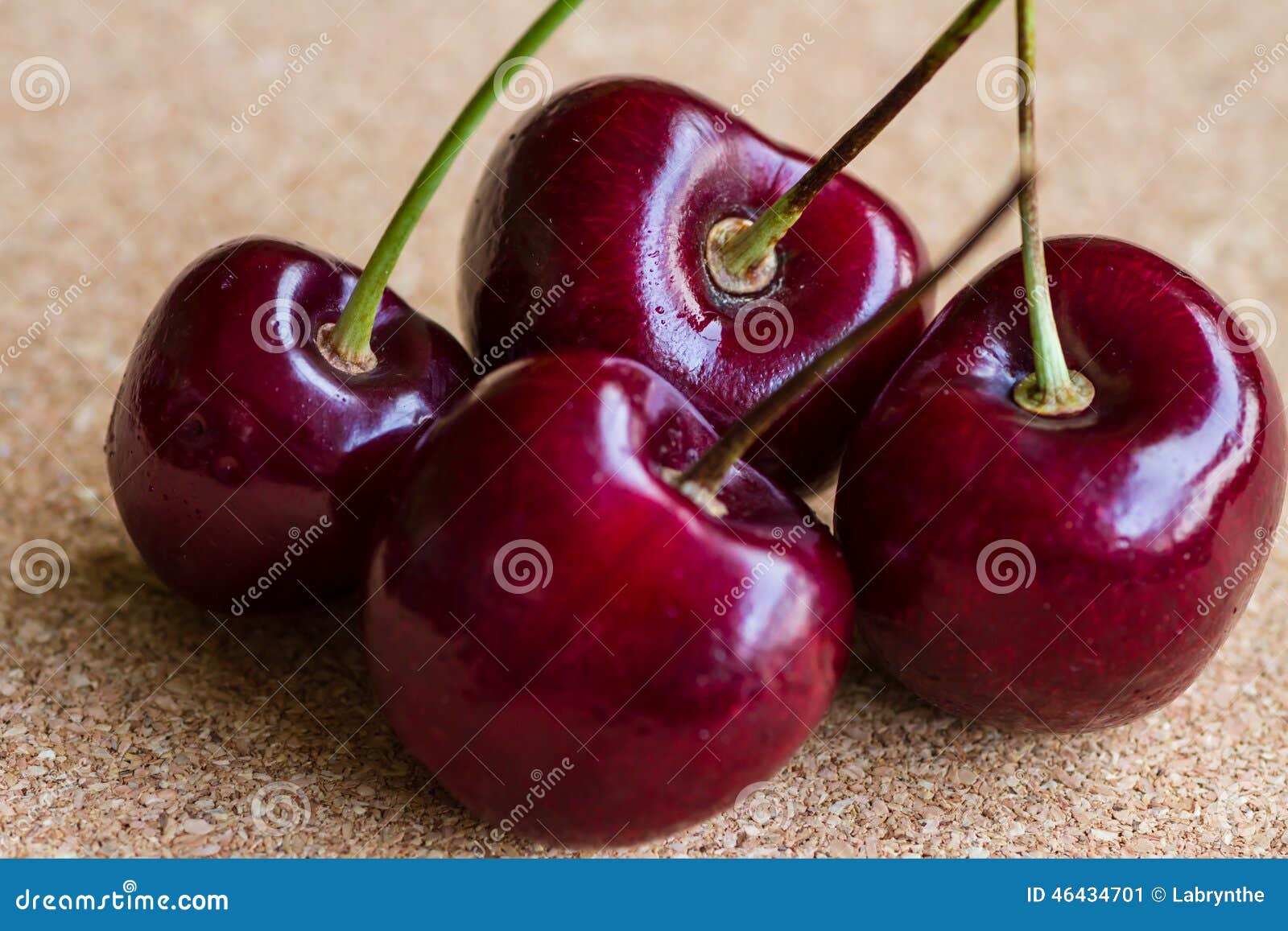Four Cherries with Stalks stock image. Image of background - 46434701