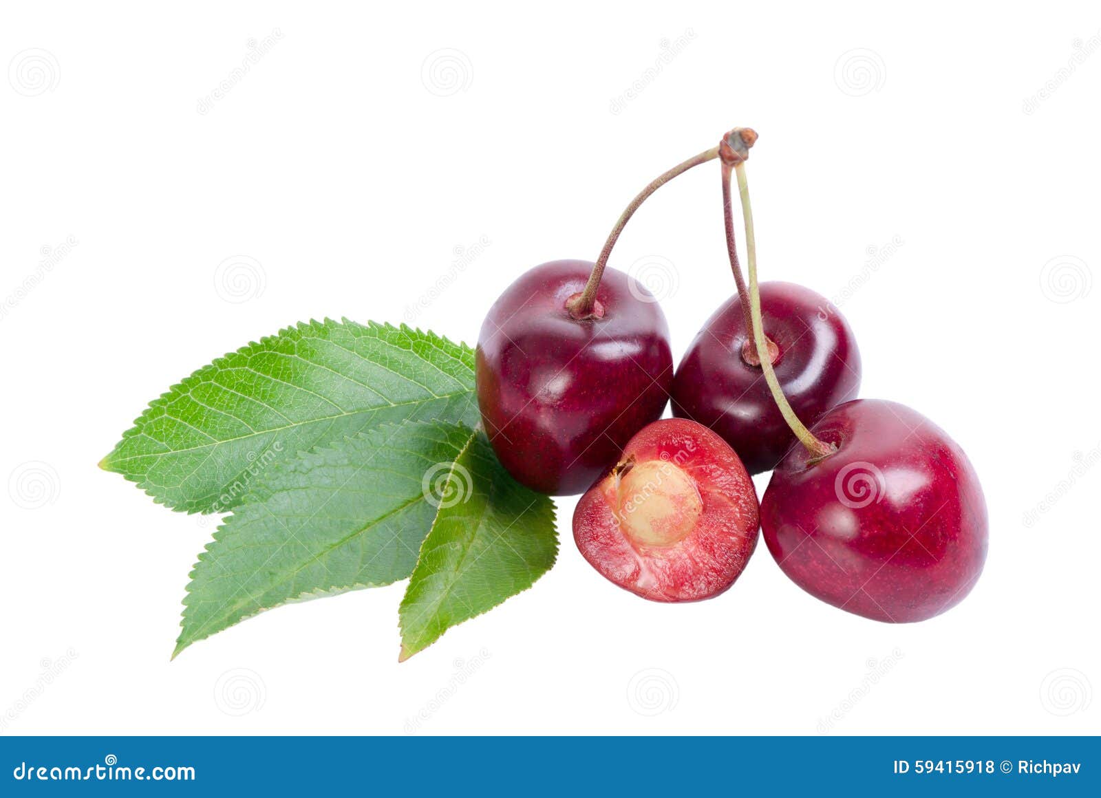 Four cherries stock photo. Image of cherry, cuted, fruit - 59415918