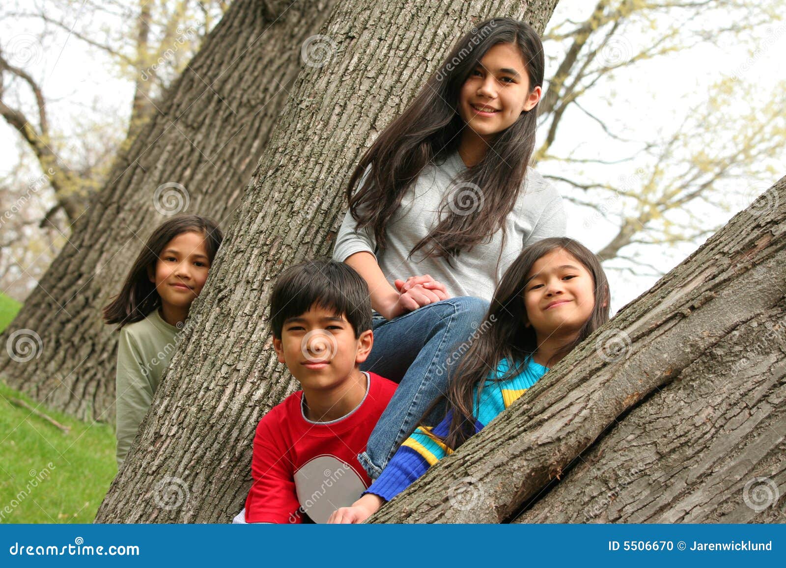 Four children in a tree stock photo. Image of race, sitting - 5506670
