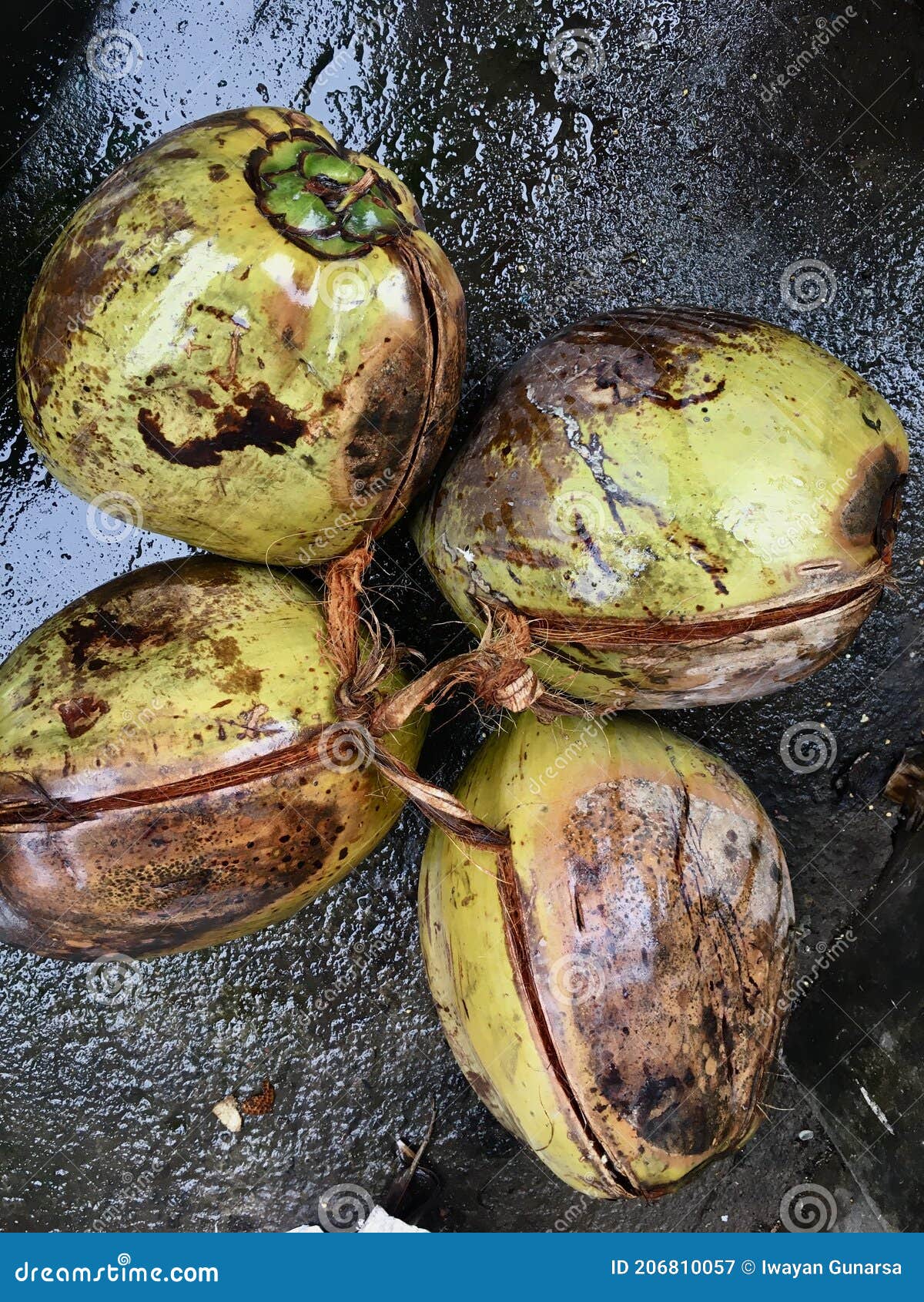 Coconuts stock image. Image of four, coconuts, wallpaper - 206810057