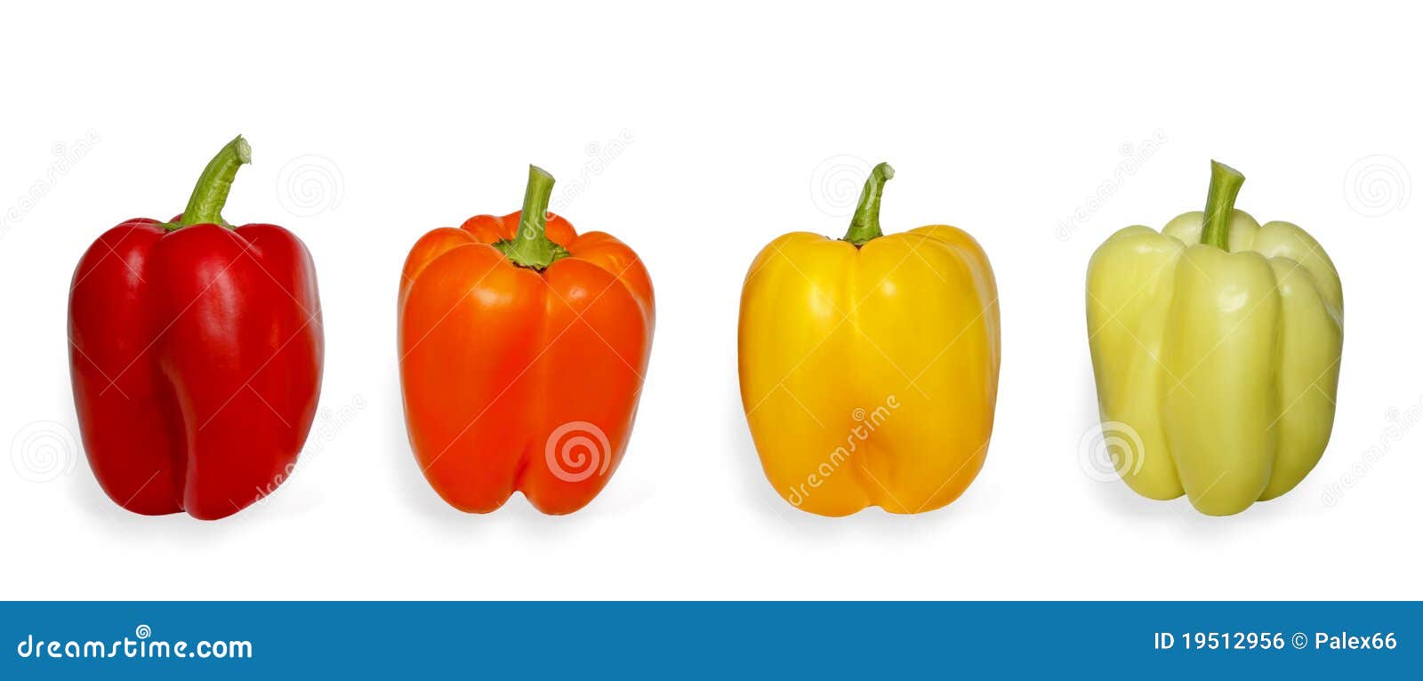 Four color stock photo. Image of lifestyle, food, israel - 19512956