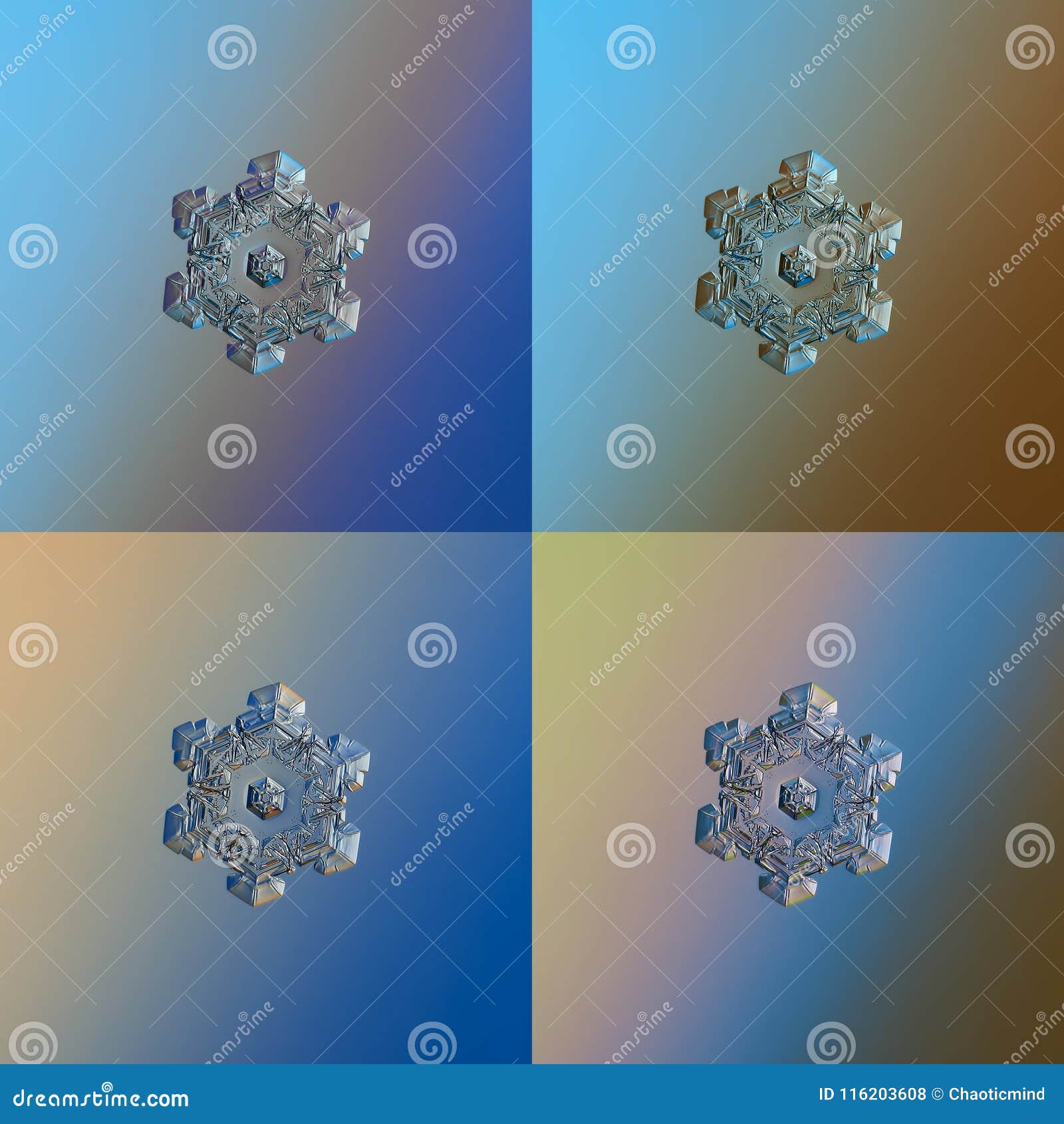 Four Color Variants of Real Snowflake Stock Photo - Image of hexagonal ...