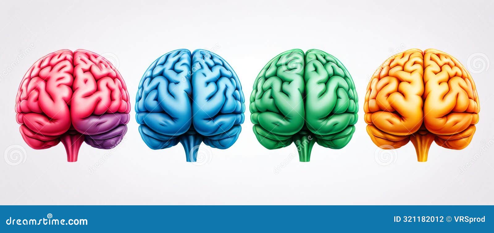 Four Colored Brain Models on White Background Stock Illustration ...