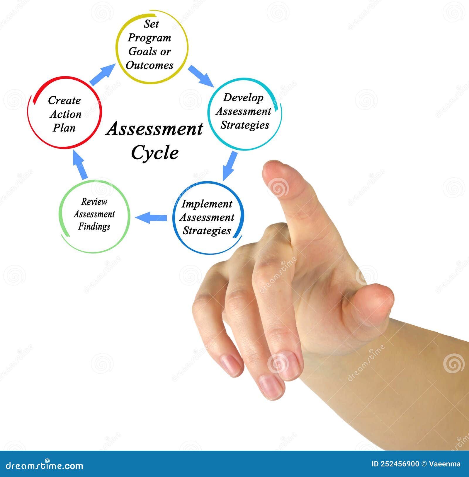 Components of Assessment Cycle Stock Photo - Image of program, female ...