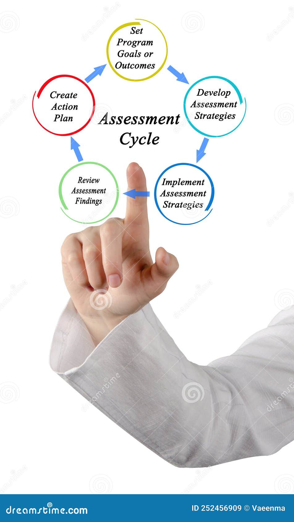 Components of Assessment Cycle Stock Image - Image of female, develop ...