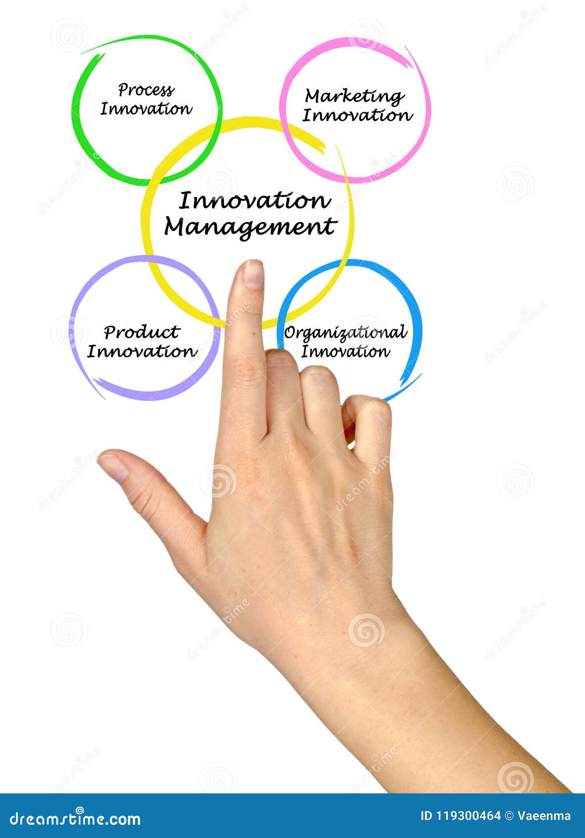 Innovation Management stock photo. Image of female, diagram - 119300464