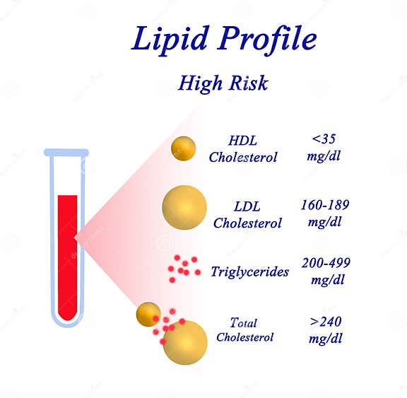 Components of Lipid Profile Stock Illustration - Illustration of ...