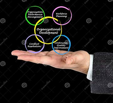 Components of Organizational Development Stock Photo - Image of quality ...