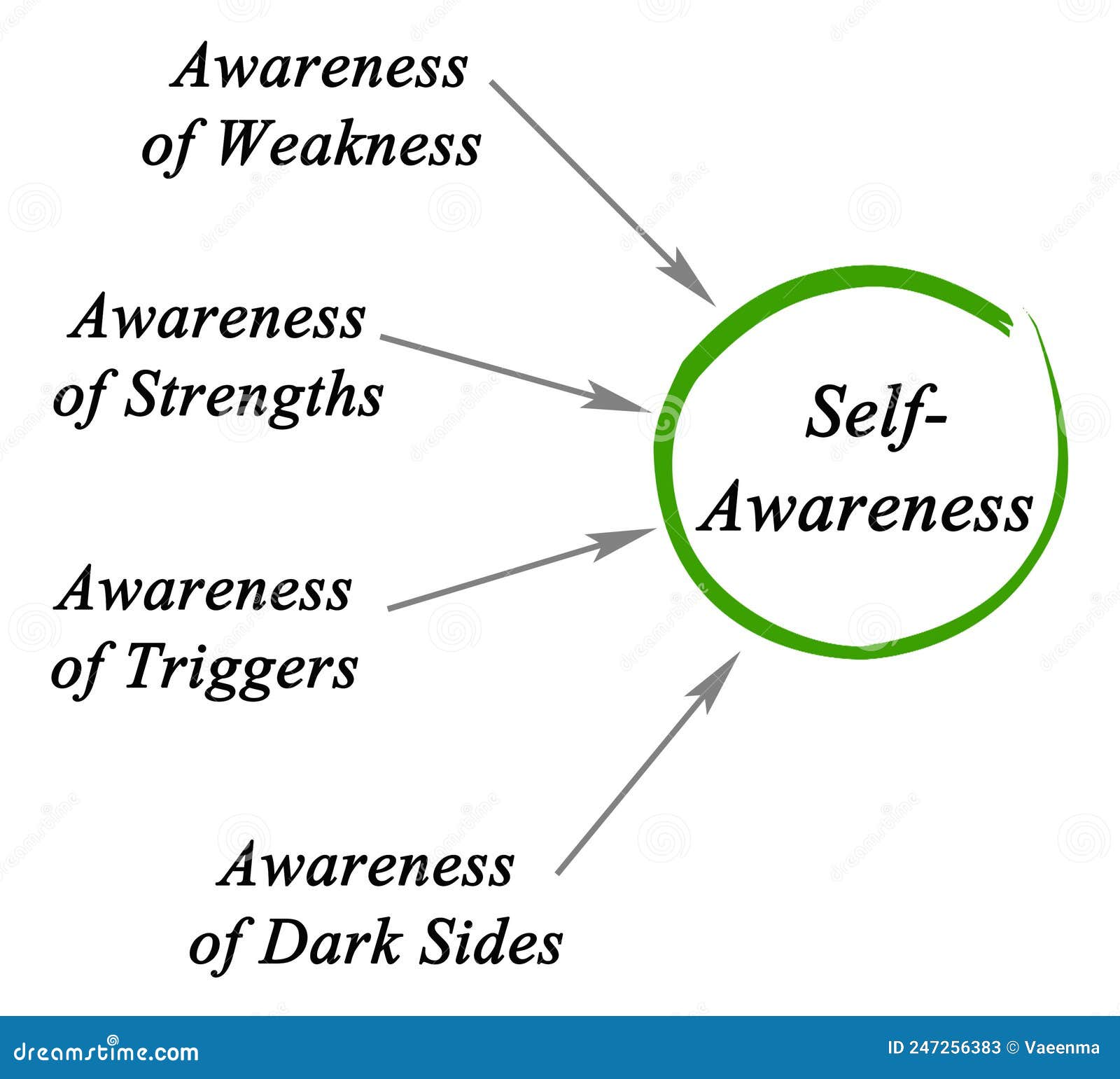 Components of Self- Awareness Stock Illustration - Illustration of 3017 ...