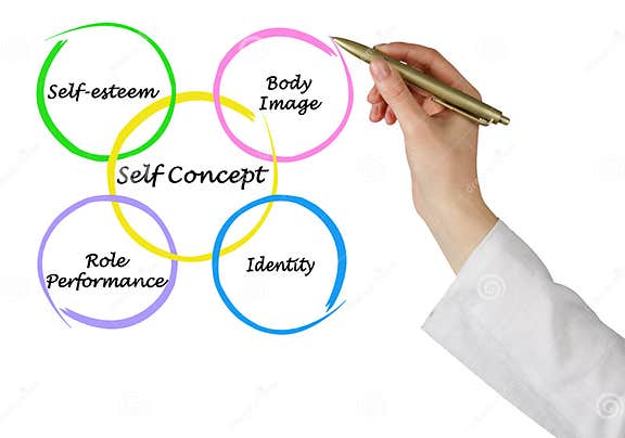 Components of Self Concept stock photo. Image of 3140 - 251507646