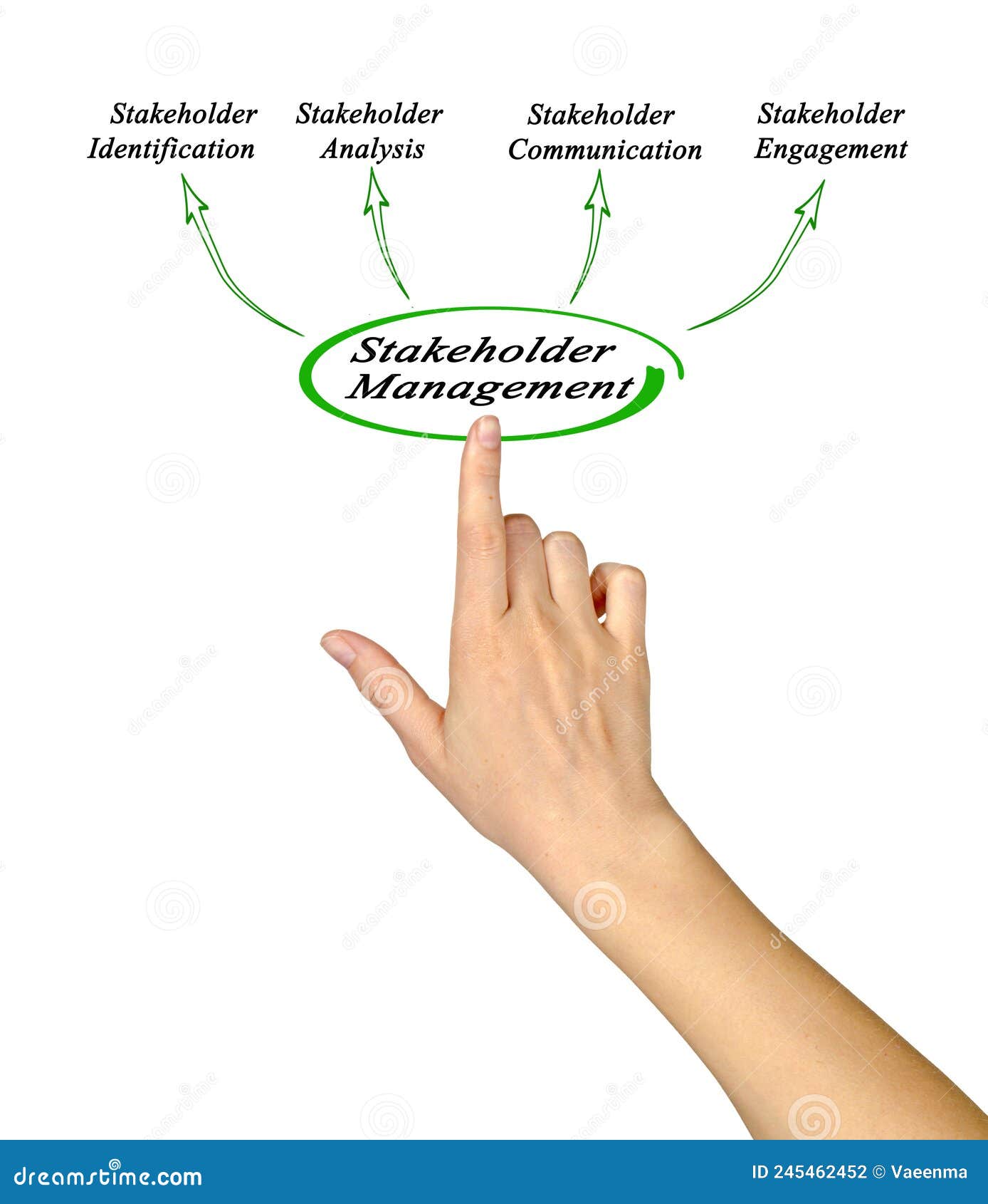Components of Stakeholder Management Stock Photo - Image of concept ...