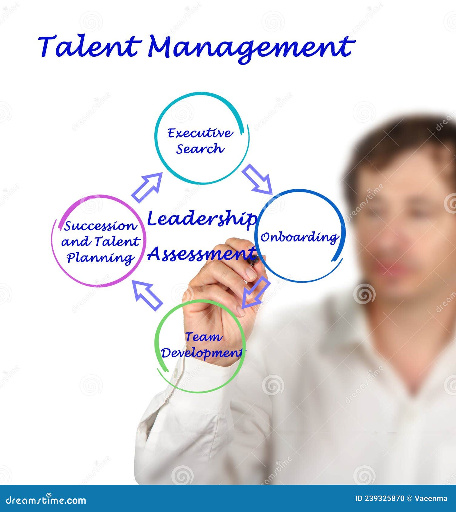 Components of Talent Management Stock Photo - Image of 1660, team ...